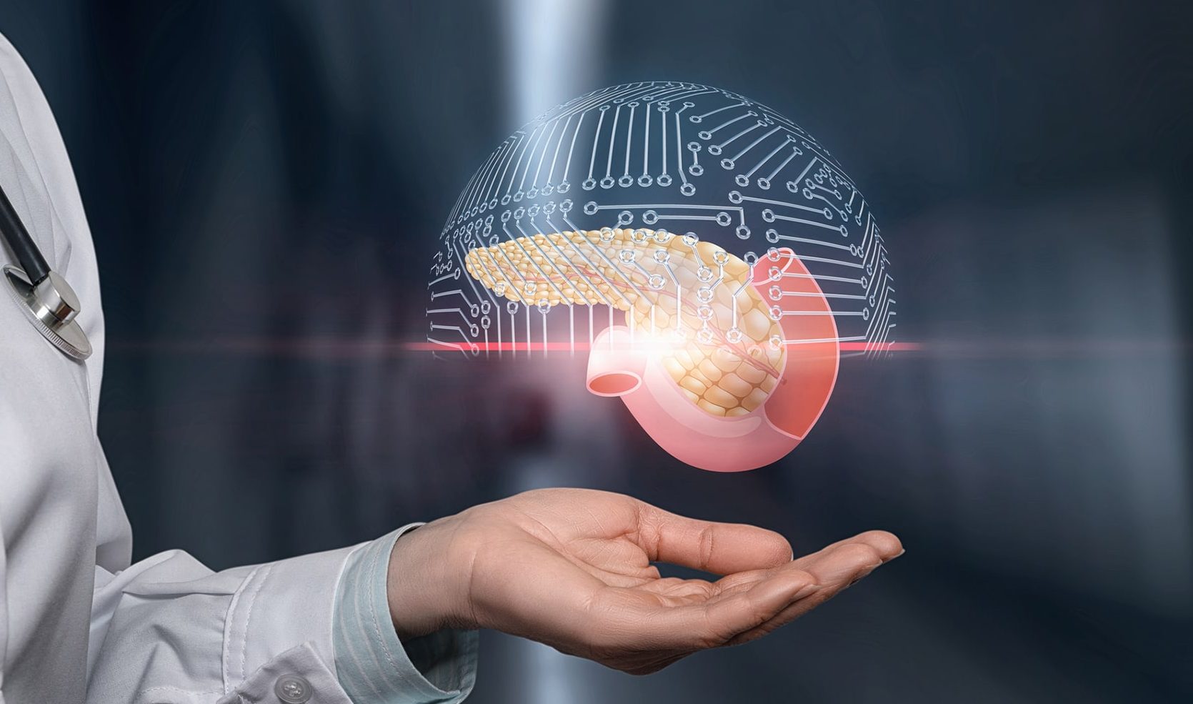 The Pancreas and Its Role in Diabetes Read This Article online - Bridge ...